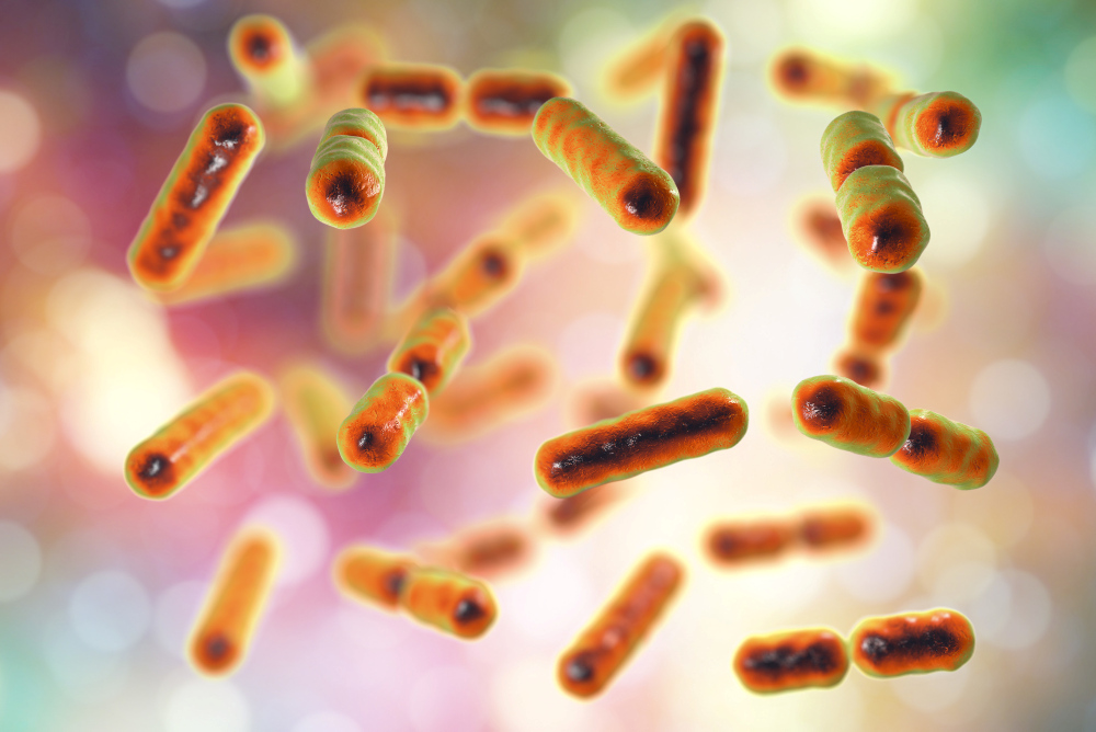 Prevalentie van antimicrobiële resistentiegenen in ‘Bacteroides’ spp ...