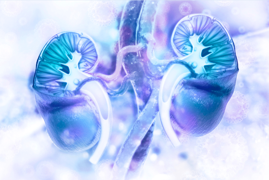 ASN Highlights 2021 | MedNet