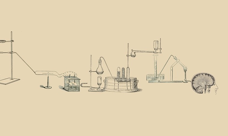 Vidi-beurzen voor darmonderzoek | MedNet