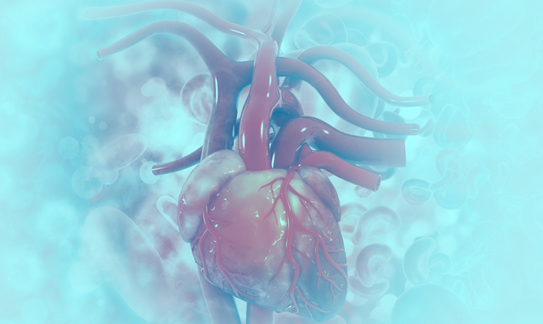 De uitdagingen bij hypertrofische cardiomyopathie | MedNet