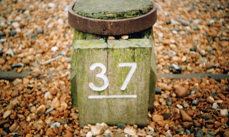 CD37 speelt belangrijke rol bij ontstaan en prognose van B-cellymfoom ...