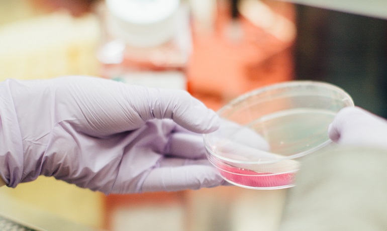 Marien de Jonge benoemd tot hoogleraar Infectie en Immuniteit | MedNet