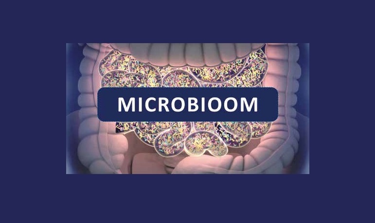 Fecale microbiotatransplantatie na voorbehandeling met budesonide bij ...