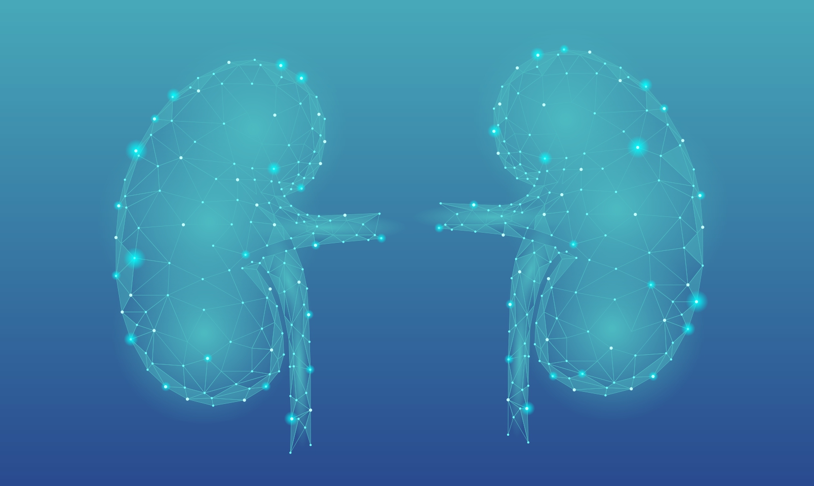 Alledaagse nefrologie; casuïstiek met een staartje | MedNet