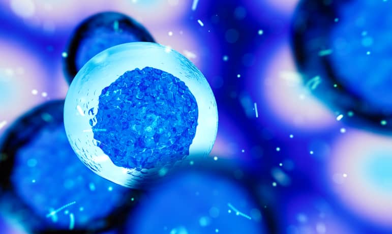 Eiwit in van stamcellen afgeleide neuronen geassocieerd met cognitieve ...