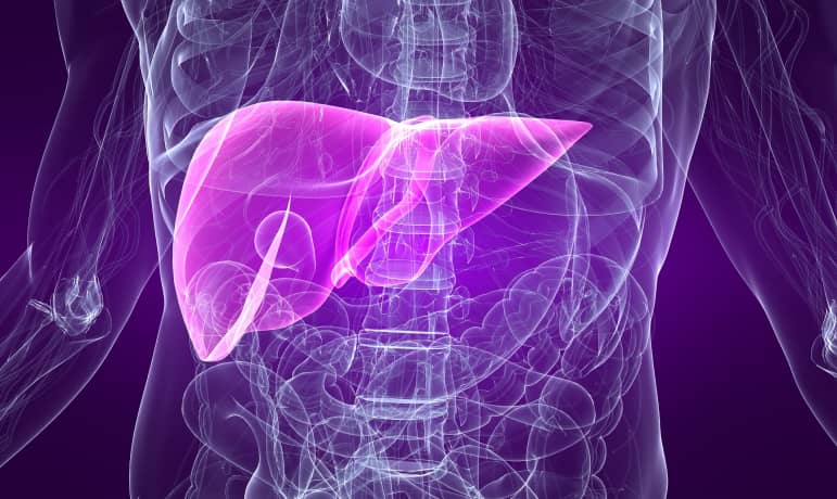 Inzet van AI bij het beoordelen van leverbiopsieën bij NASH | MedNet