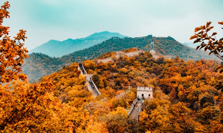 Batoclimab effectief bij gegeneraliseerde myasthenia gravis | MedNet